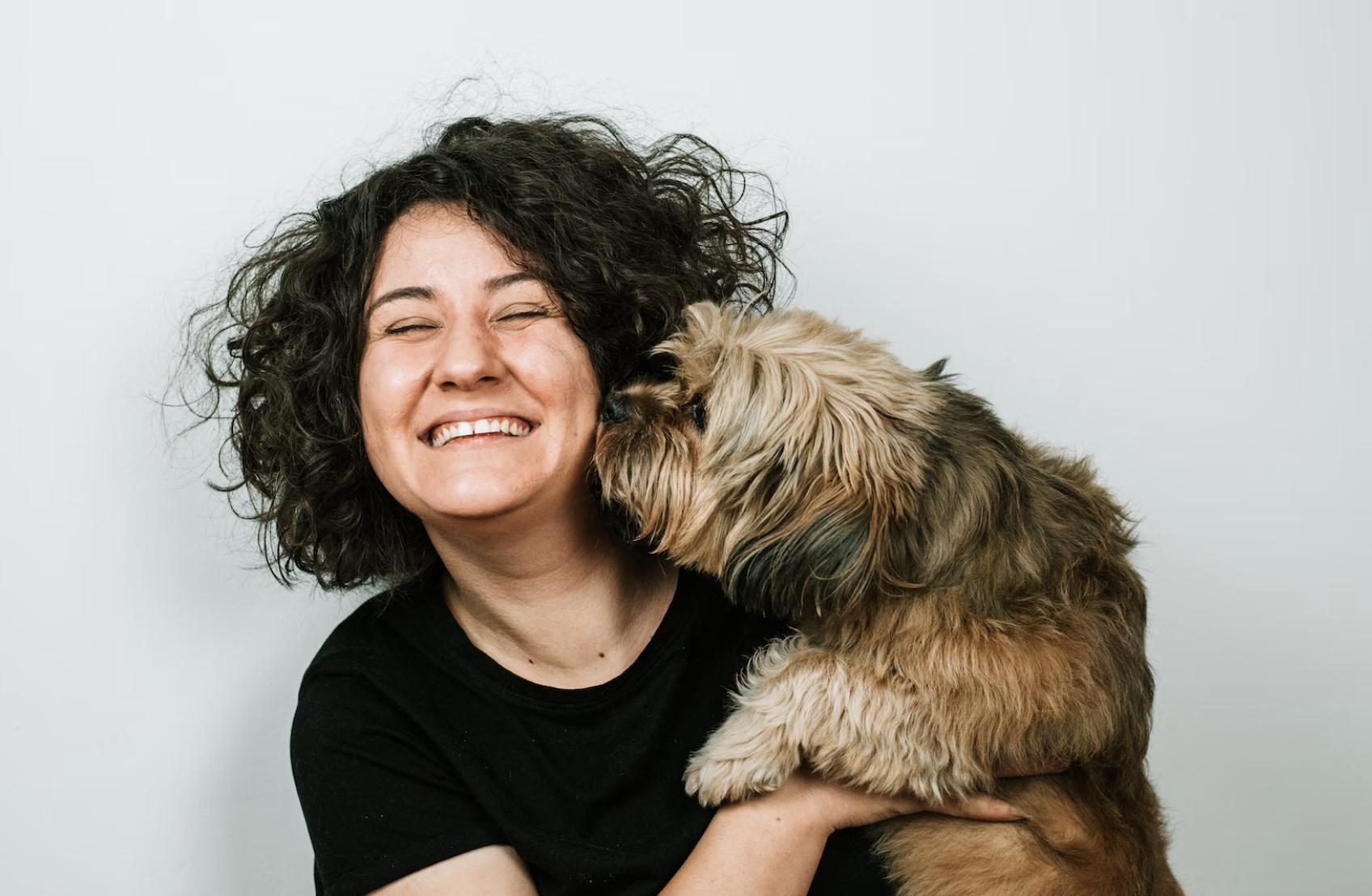 Nawak - le réseau du spectacle