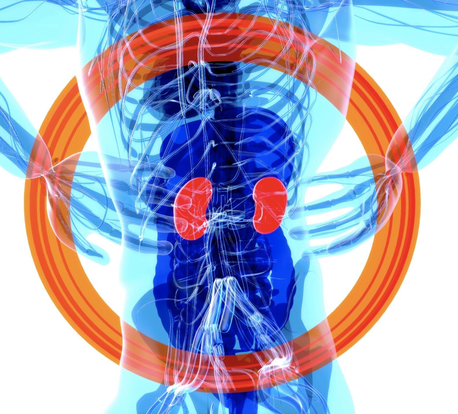 Nawak - le réseau du spectacle